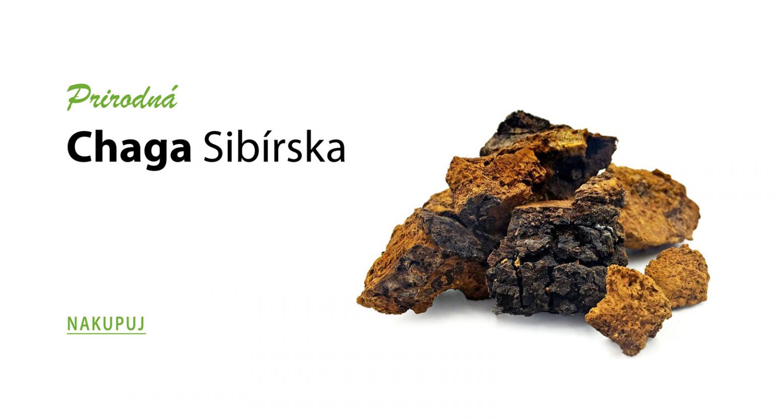 Chaga Sibírska – 100% Extrakt z čagy sibírskej
