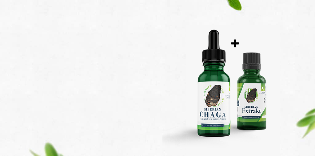 Chaga Sibírska – 100% Extrakt z čagy sibírskej